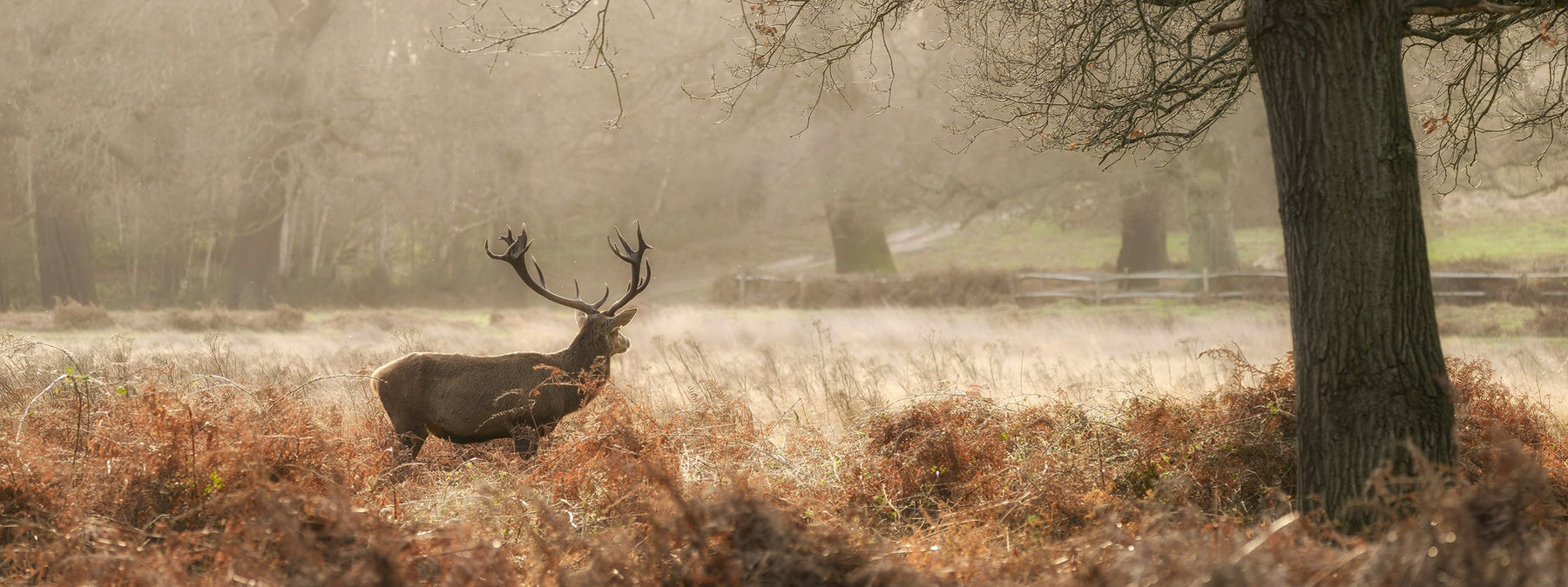 BACKPACKING + SURVIVAL